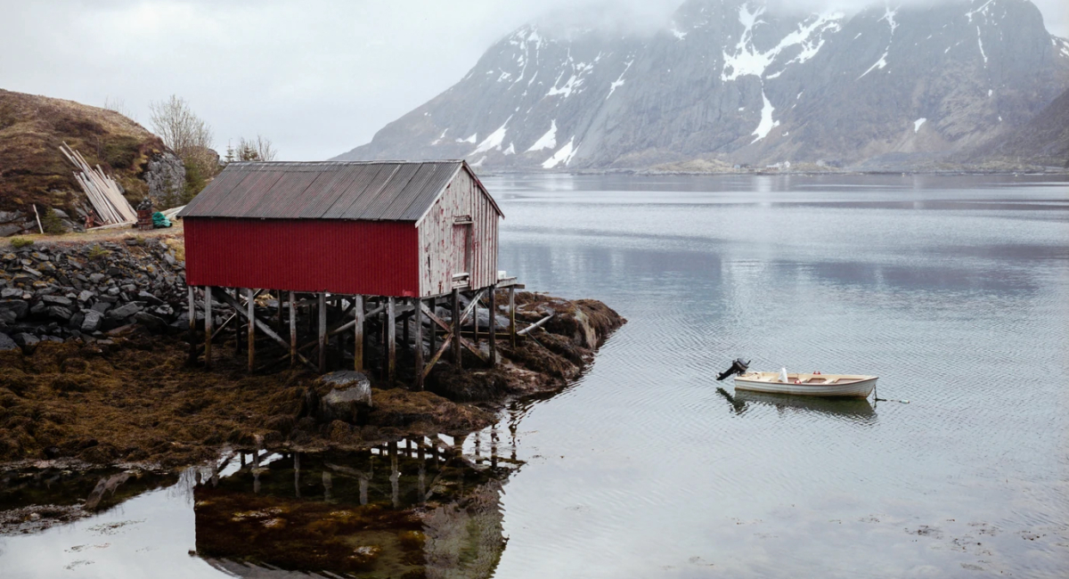 Igor Zacharov – DROOL