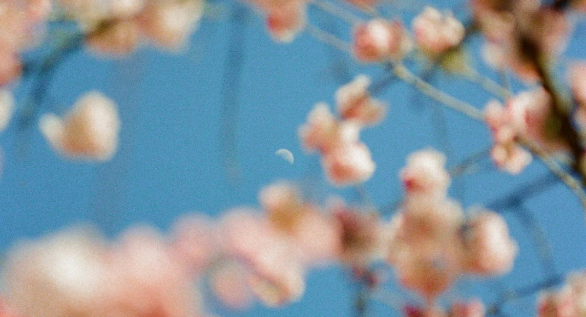 Kelsey Gallagher – DROOL