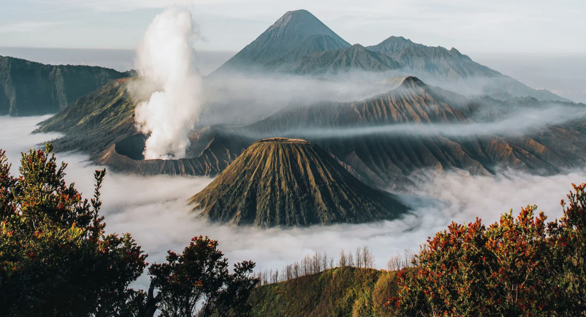 Luke Stackpoole – DROOL