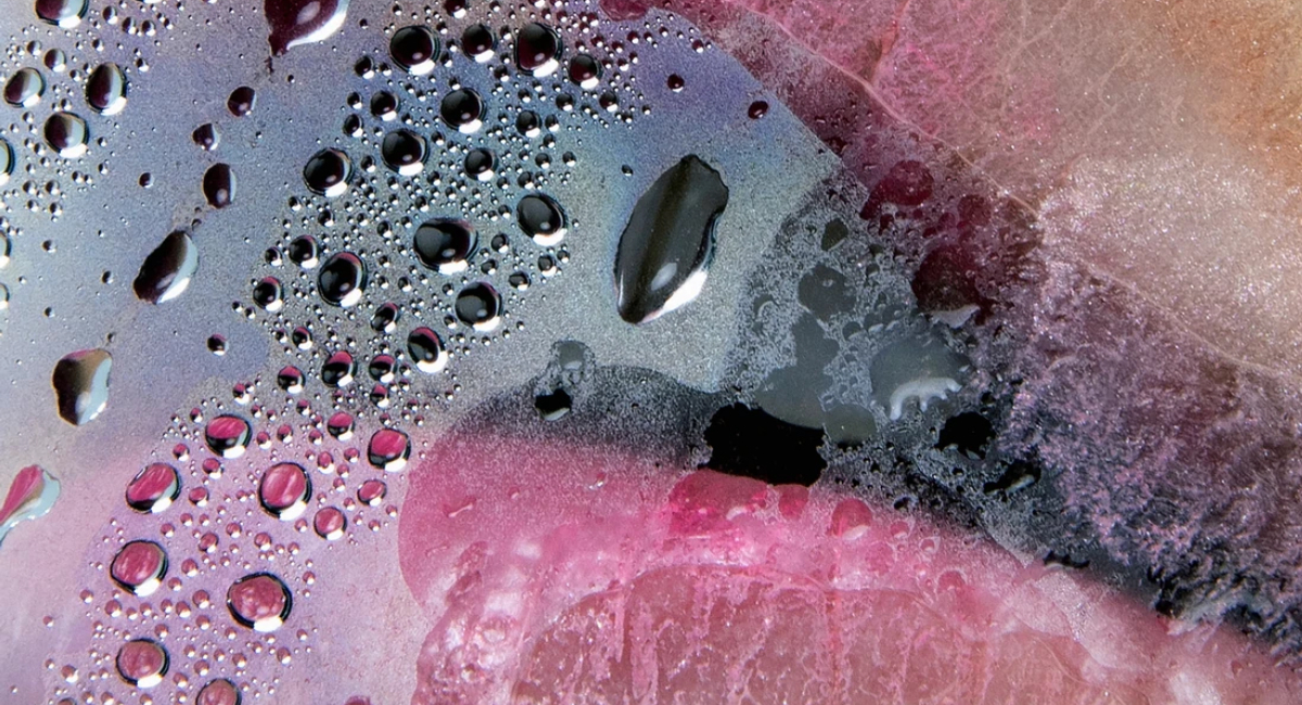 Sarah McColgan – DROOL